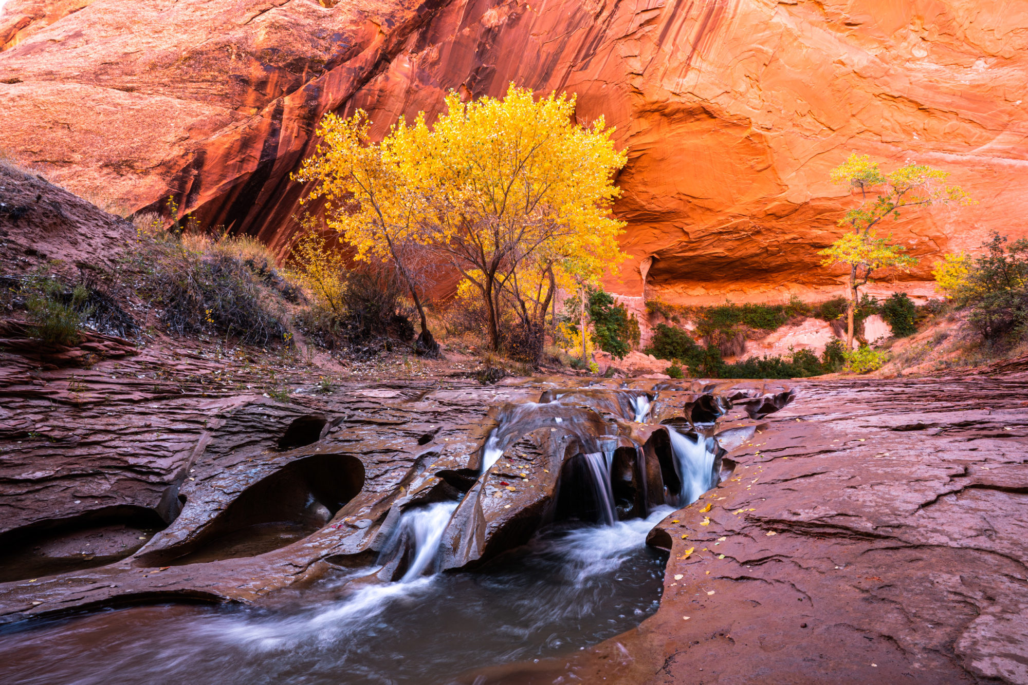 The Best Time to Hike Coyote Gulch | Dylan H. Brown
